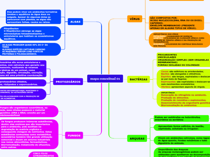 mapa conceitual 01 - Mind Map